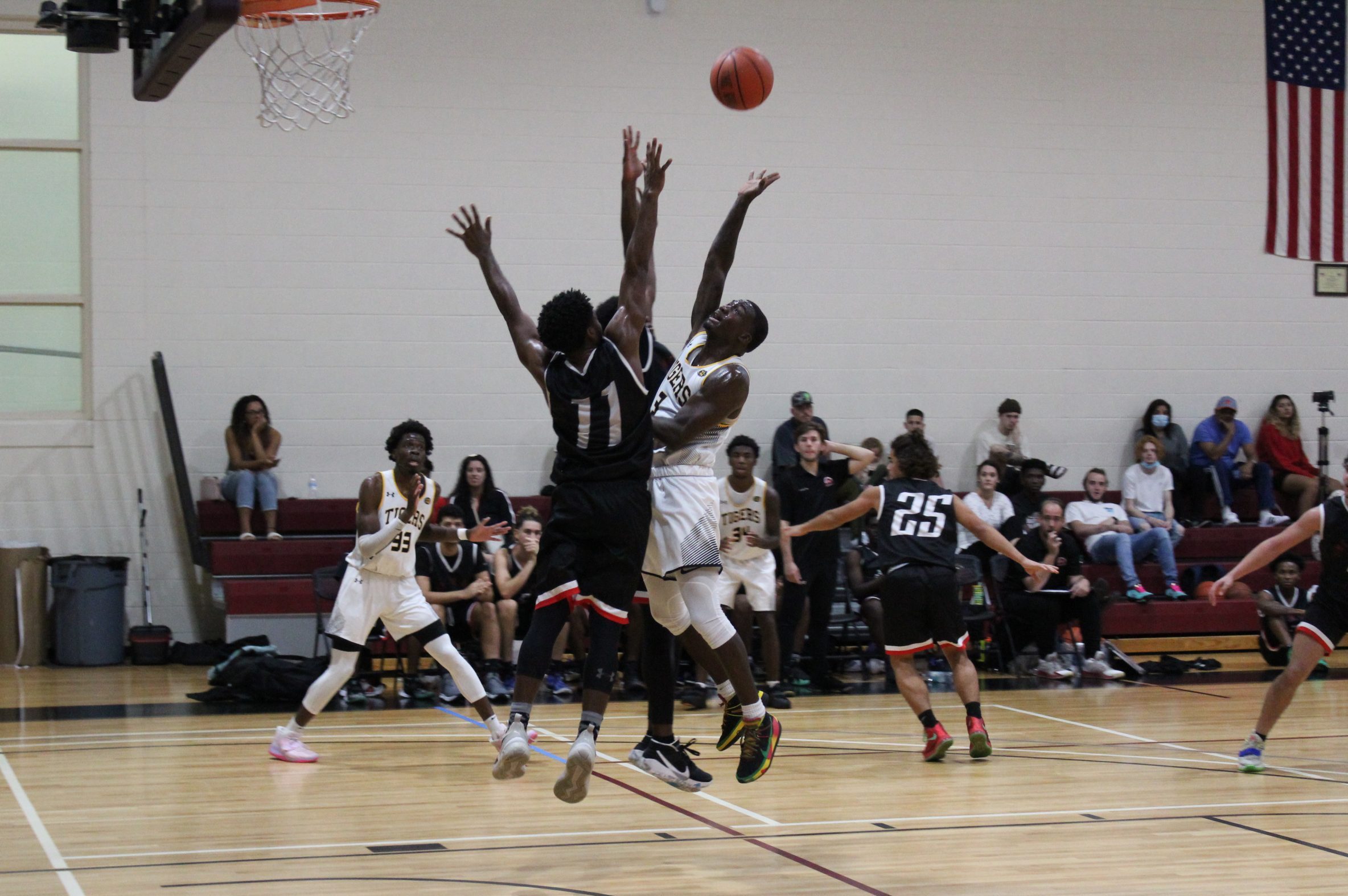 Harlee Reed Trinity College of Florida Men's Basketball