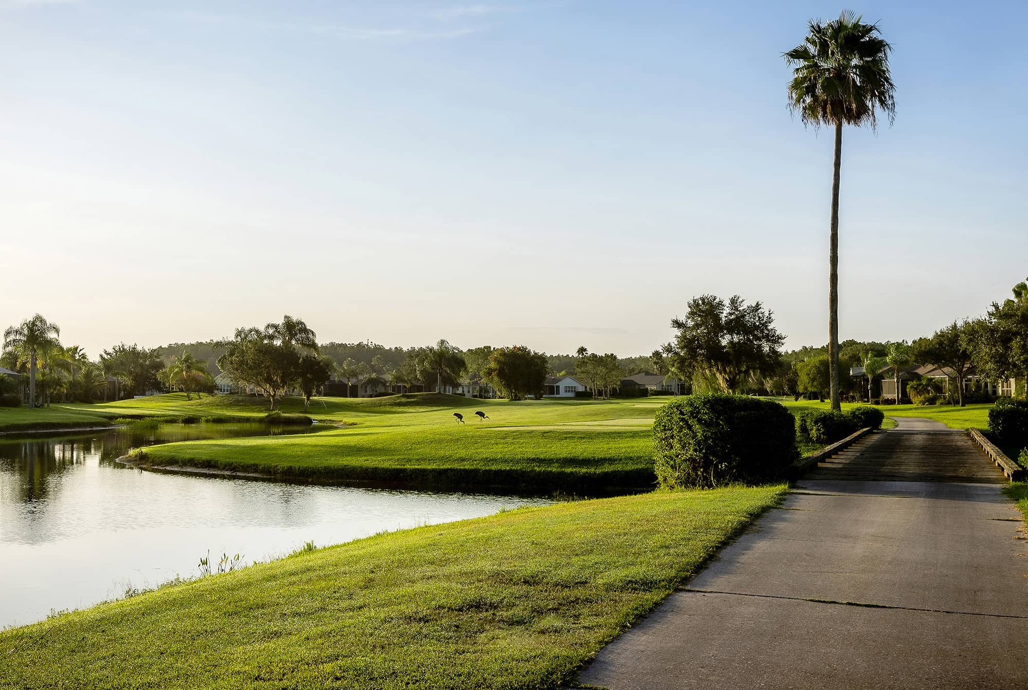 TCF Golf Classic - Trinity College